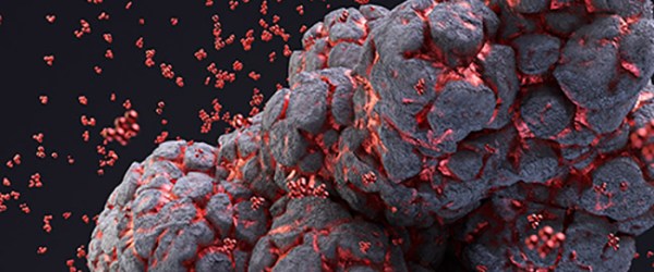 Lemay Releases His ‘Accidents On Purpose’ | Relentless Beats