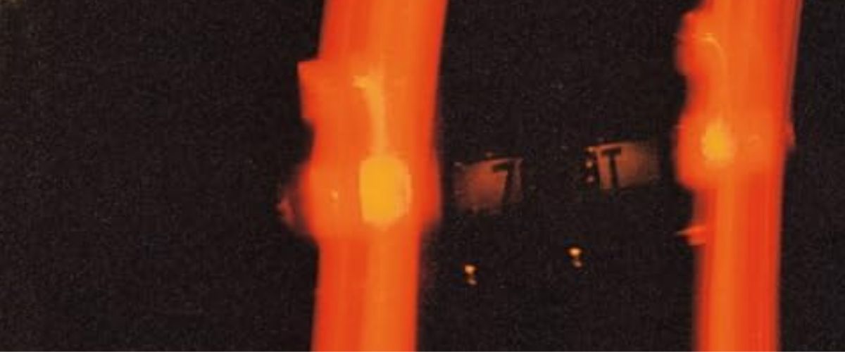 NOTION Ventures Back into Jungle with New Heater, ‘BACKBONE ...